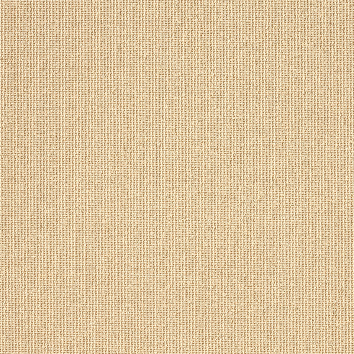 Vibe® Apricot | Dash Components