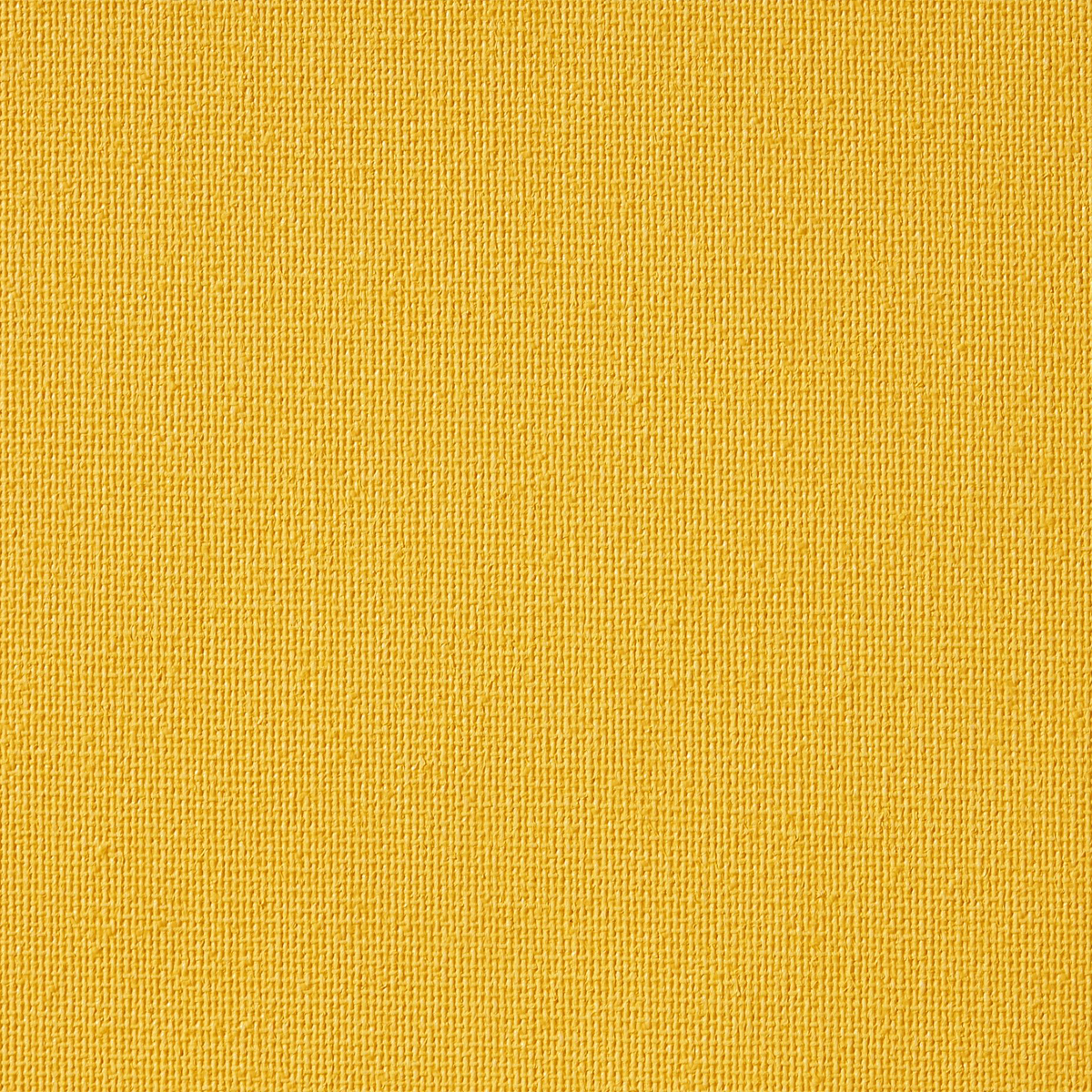 Vibe® India Yellow | Dash Components